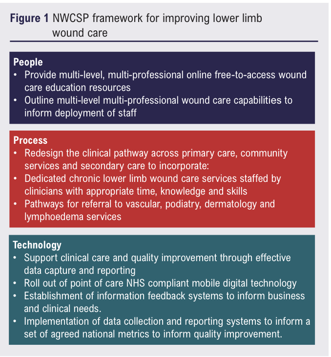 National Wound Care Strategy Programme: past, present and future ...