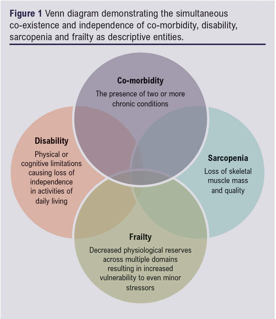 Frailty in peripheral arterial disease – Journal of Vascular Societies ...
