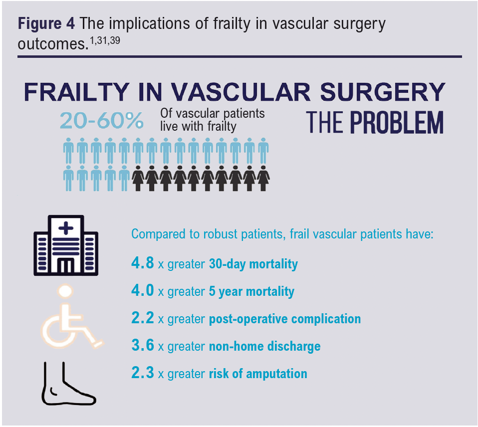 Frailty in peripheral arterial disease – Journal of Vascular Societies ...